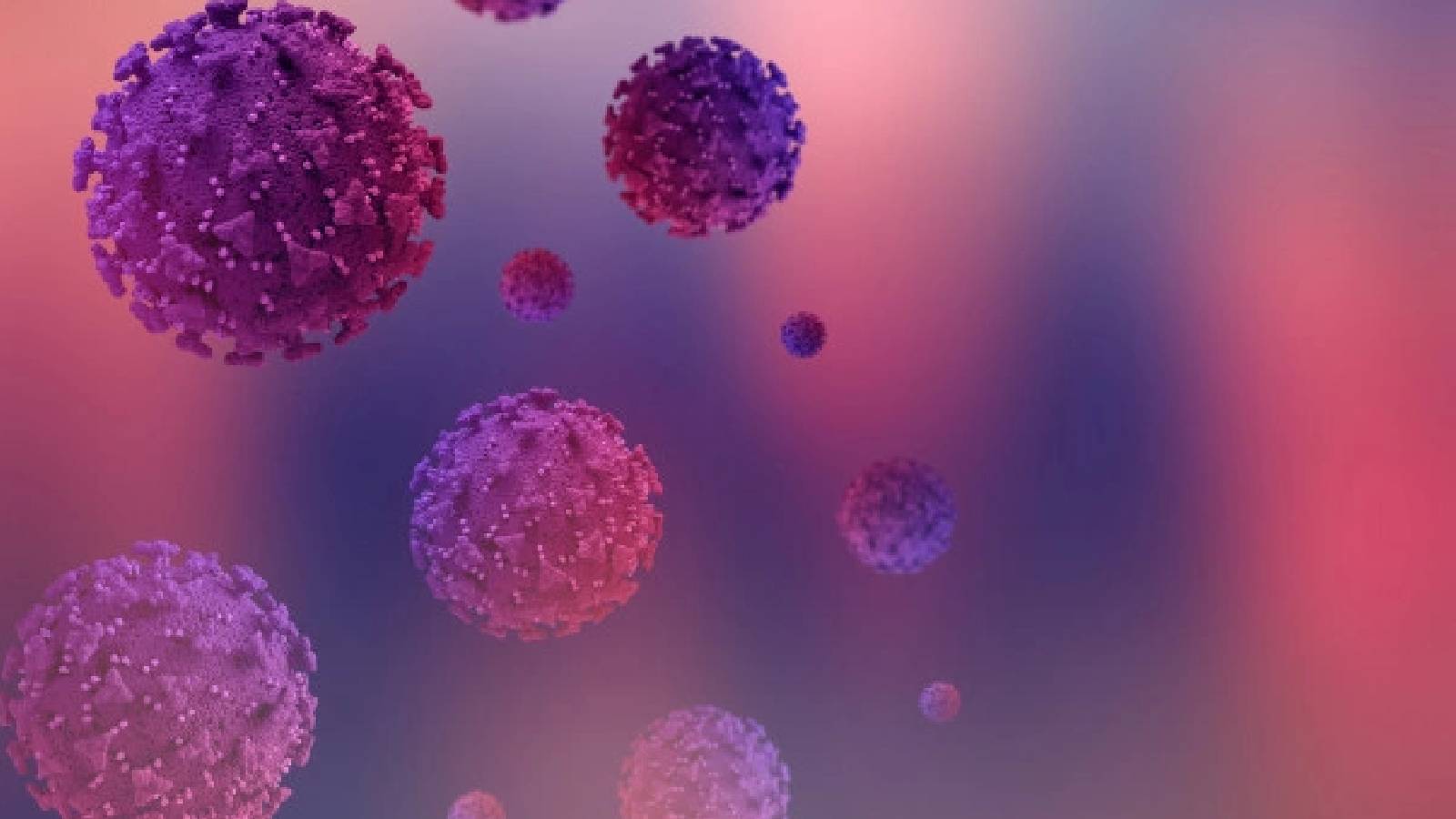 Fellow AI Develops and launches an Accurate Contact Tracing Device