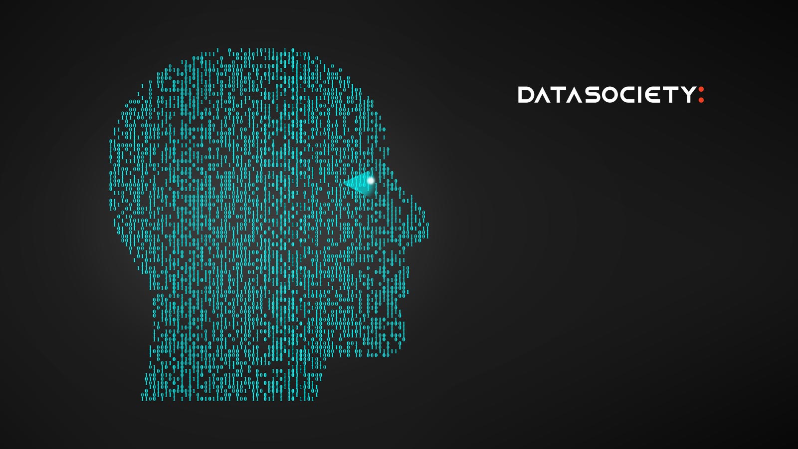 Data Society Joins NVIDIA Partner Network, Deep Learning Institute
