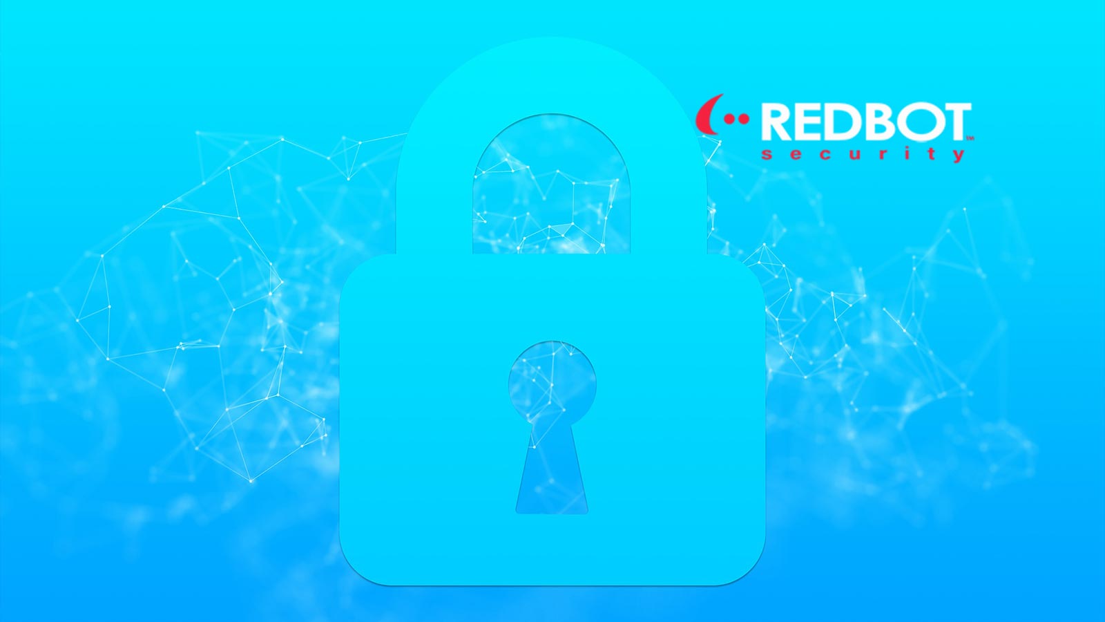 Redbot Security Names New Chief Security Officer as the Company ...
