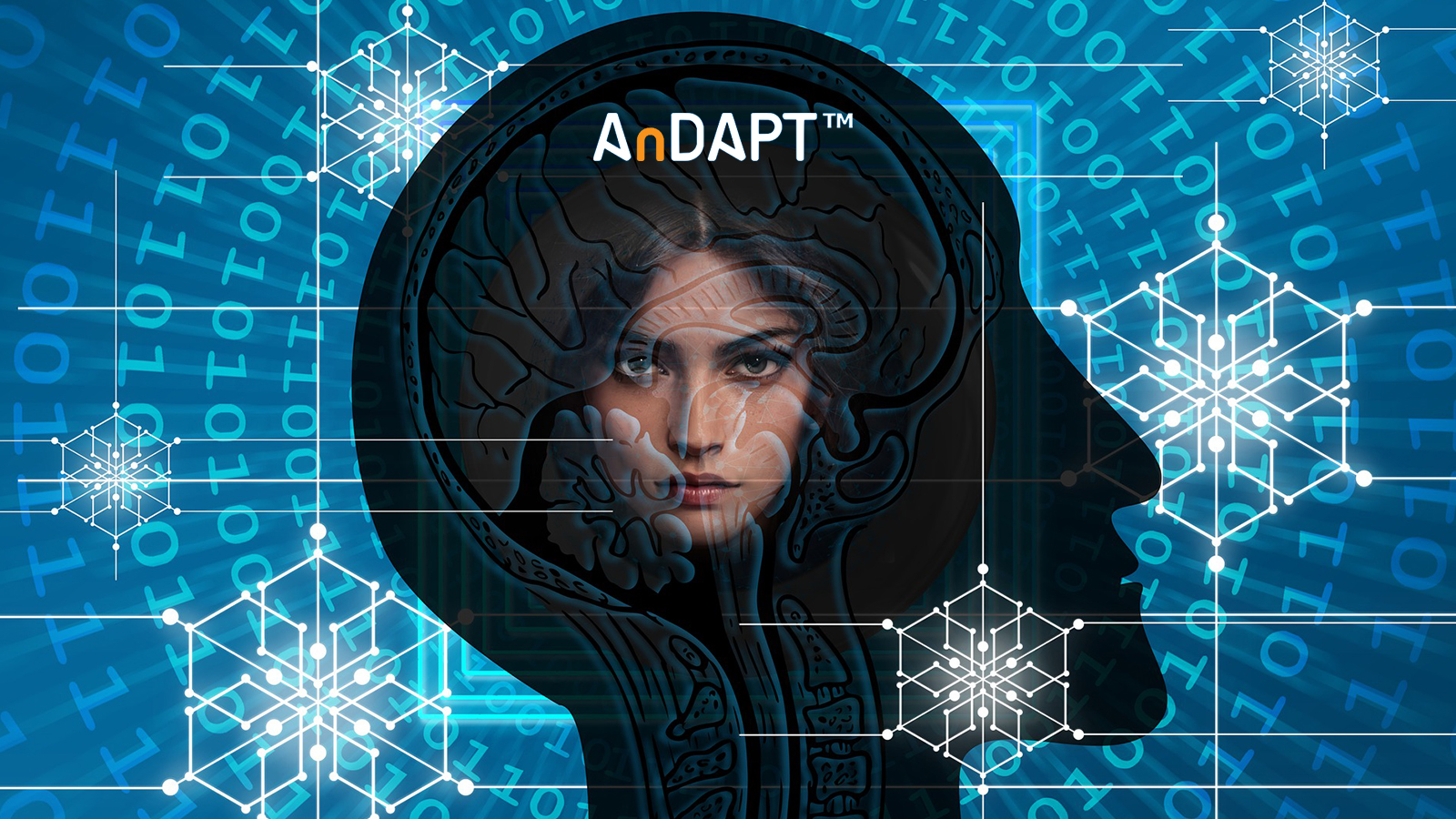 AnDAPT Products Power High Performance Industrial Machine Vision Solutions