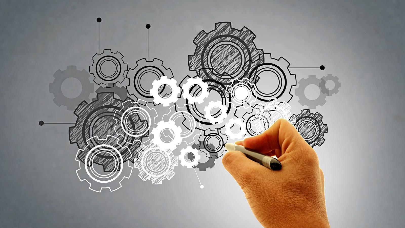 FDA Grants Clearance for UltraSight’s AI-Powered Cardiac Ultrasound ...