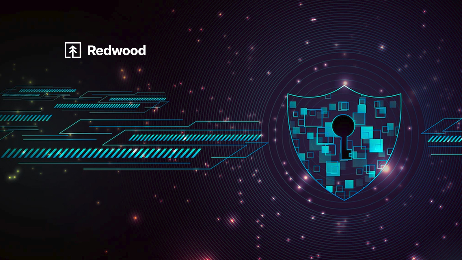 Redwood Software Further Strengthens Security Posture By Achieving ...