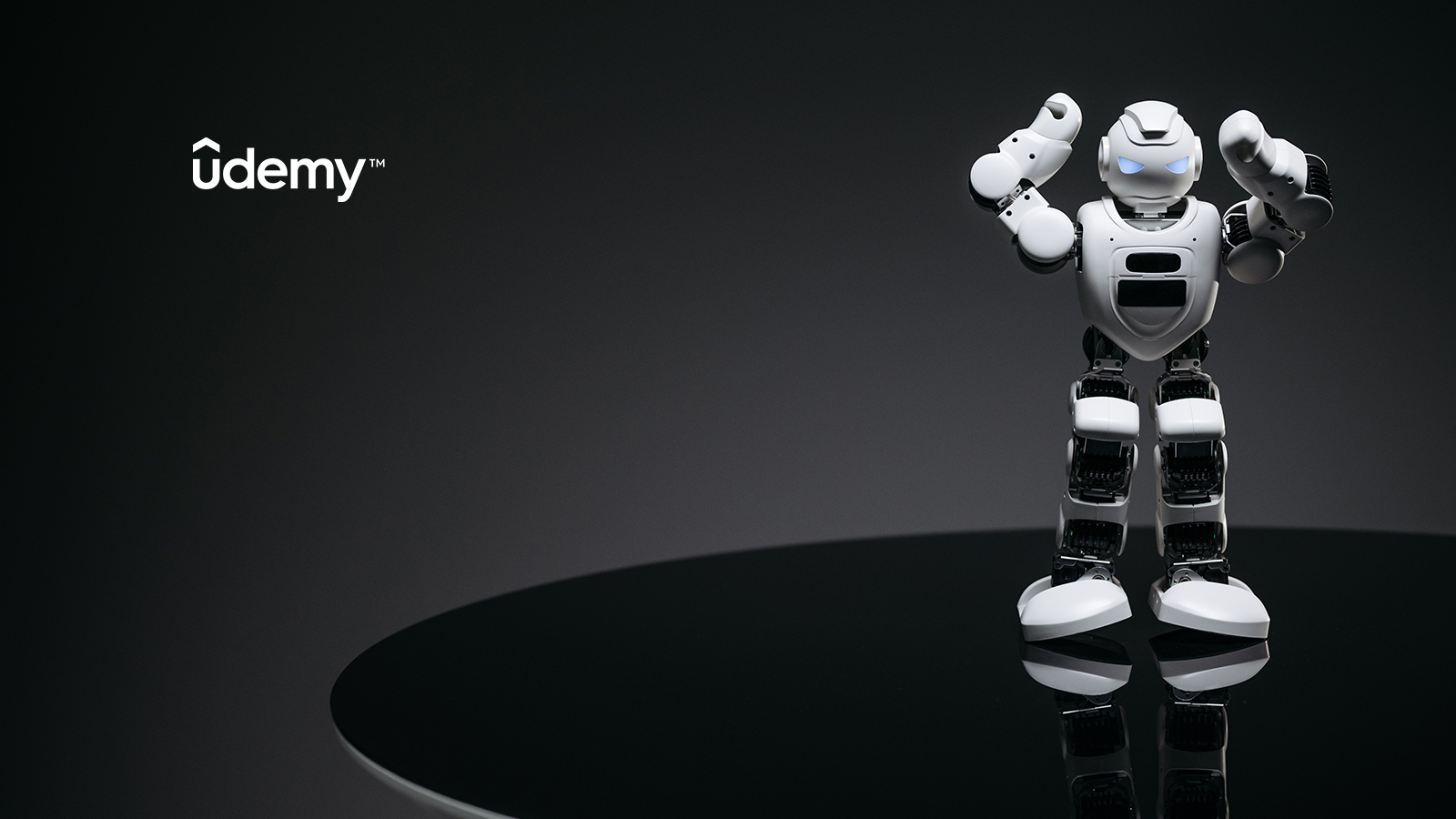Chatgpts First Year Udemy Data Highlights Unprecedented Global Demand