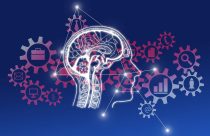 What is Deloitte's New Public Data Visualization Tool All About?